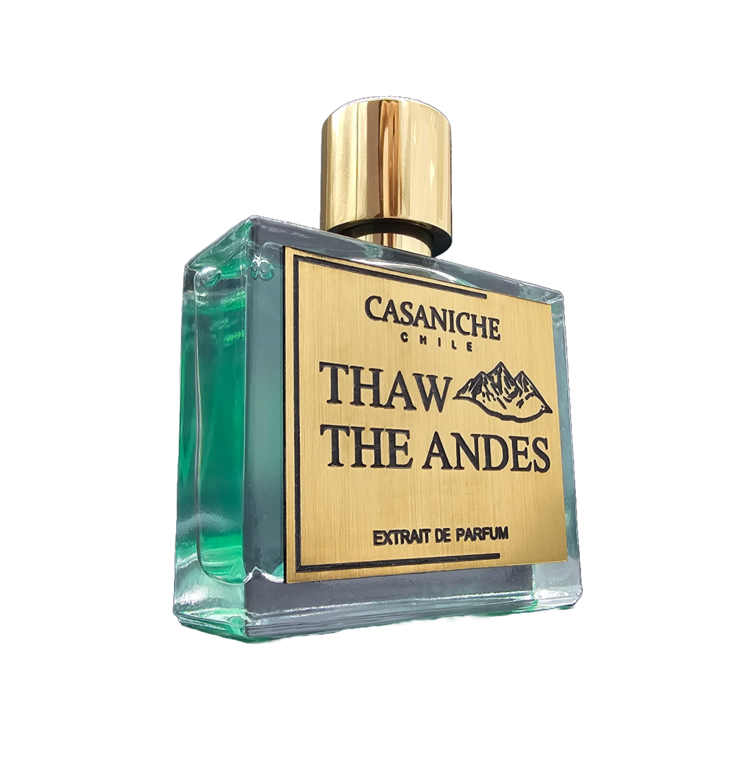 Thaw The Andes CASANICHE